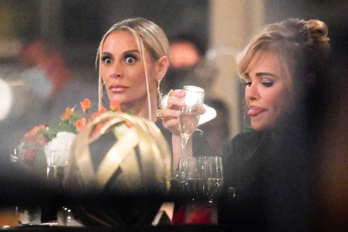 Meet Sanela Diana Jenkins the Rumored Newest Member of the RHOBH Cast ...
